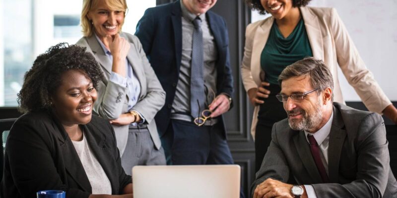 Stergis Windows – Polynx